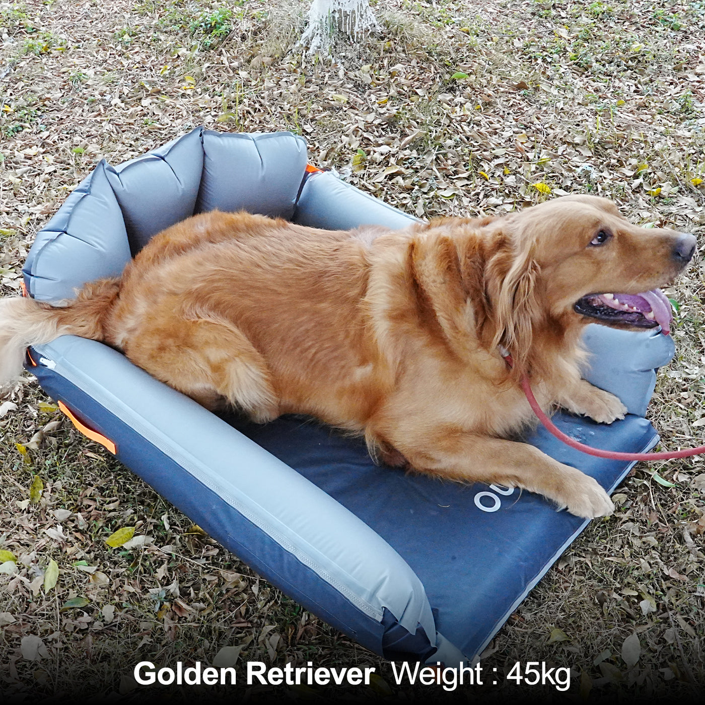 JessiGo Outdogs Airpad